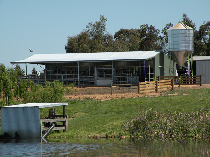 Dairy Sheds: Economical & Customisable - Bairnsdale Engineering, Vic.