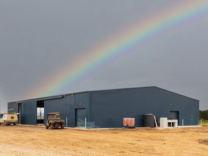 Dairy Sheds - Robotic or Rotary Designs - Bairnsdale Engineering